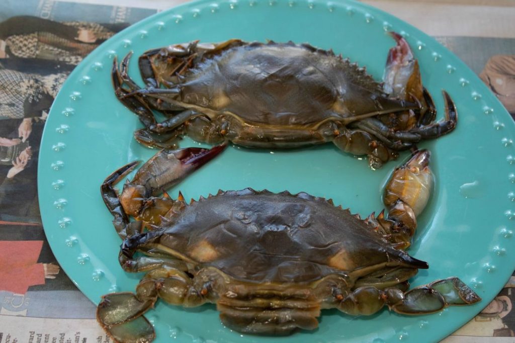 How do you store frozen soft shell crabs?