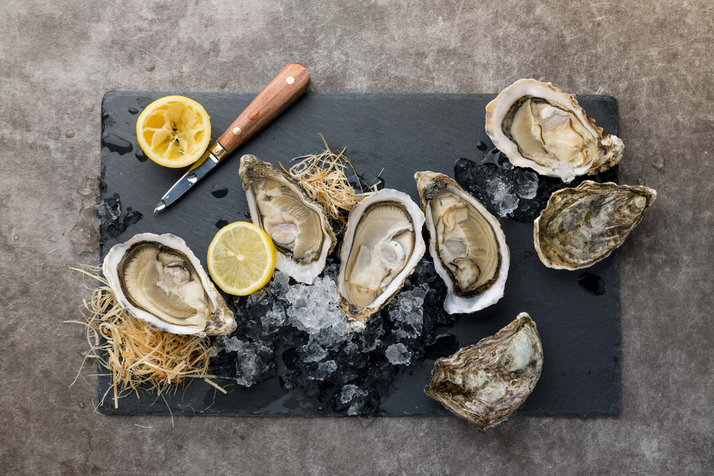 How do you store oysters before shucking?