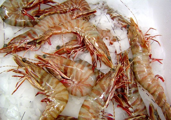 How do you store prawns on ice?