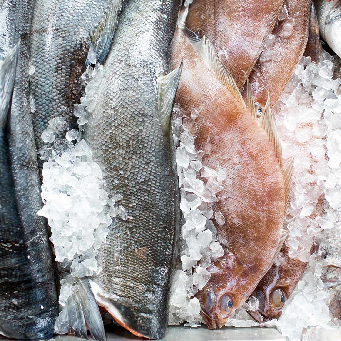 How do you store rockfish in the fridge?