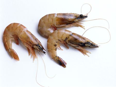 How do you store shrimp before cooking?