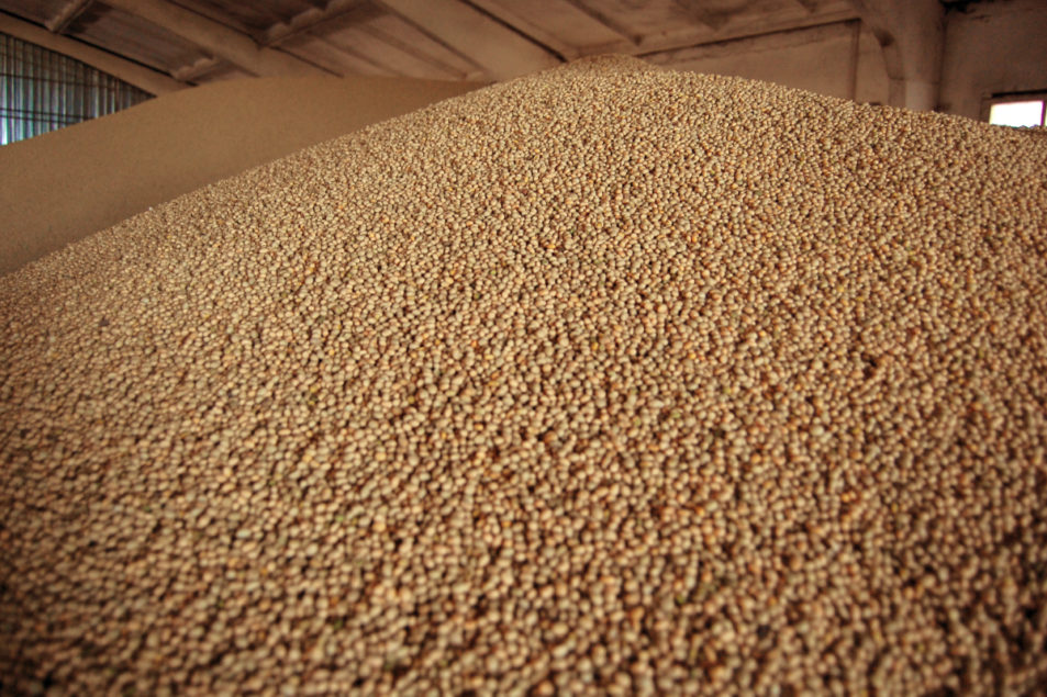 How do you store soy beans?