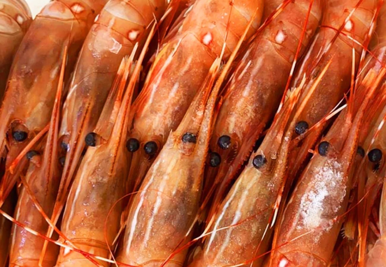 How do you store spot prawns in the fridge?