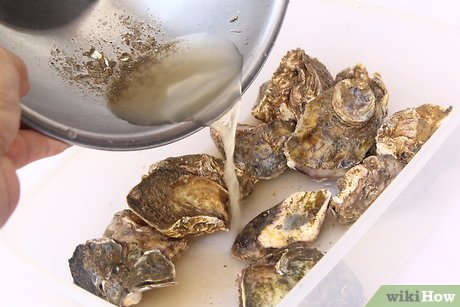How do you store uncooked oysters?
