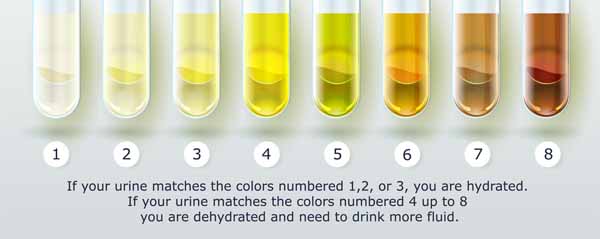 How do you tell if your kidneys are dehydrated?