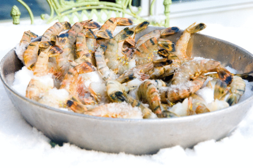 How do you transport cooked shrimp?