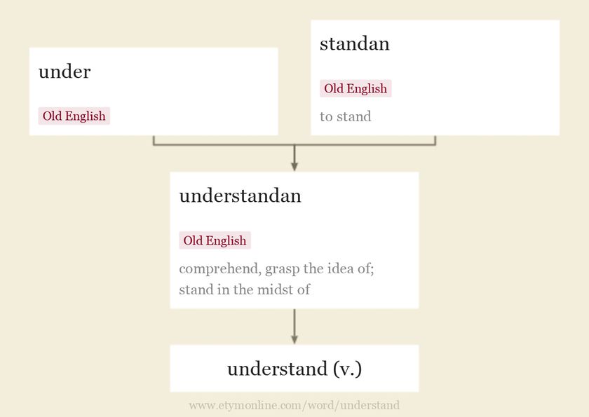 How do you understand etymology?