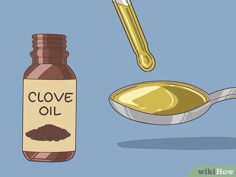 How do you use clove oil internally?