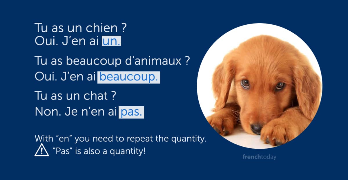 How do you use en in French grammar?