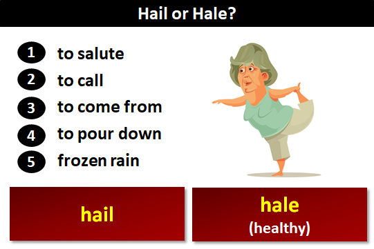 How do you use Hale in a sentence?