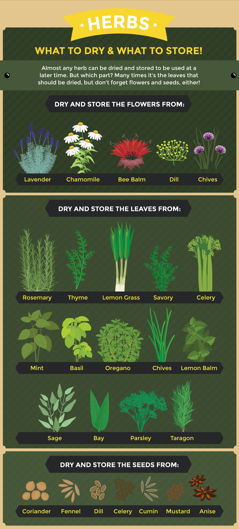 How do you use herbs?