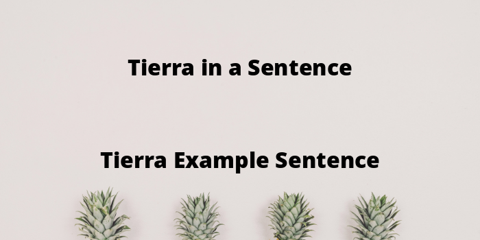 How do you use Tierra in a sentence?