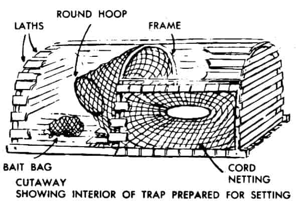 How does a lobster trap?