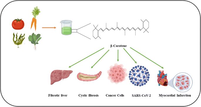 How does beta-carotene prevent cancer?