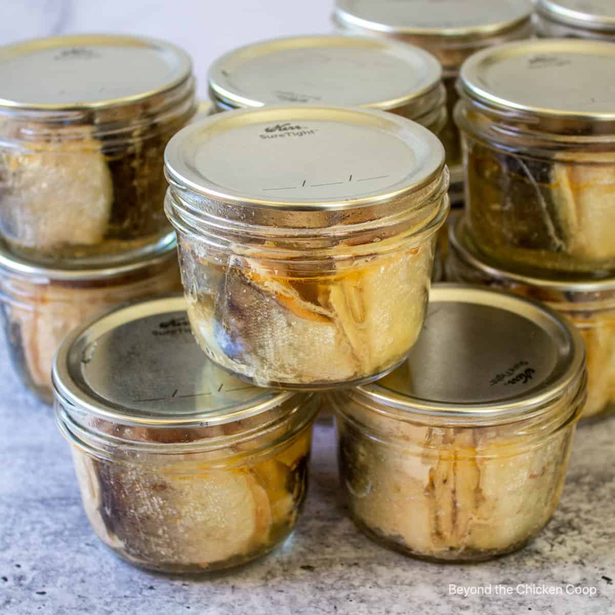 How does canning preserve fish?