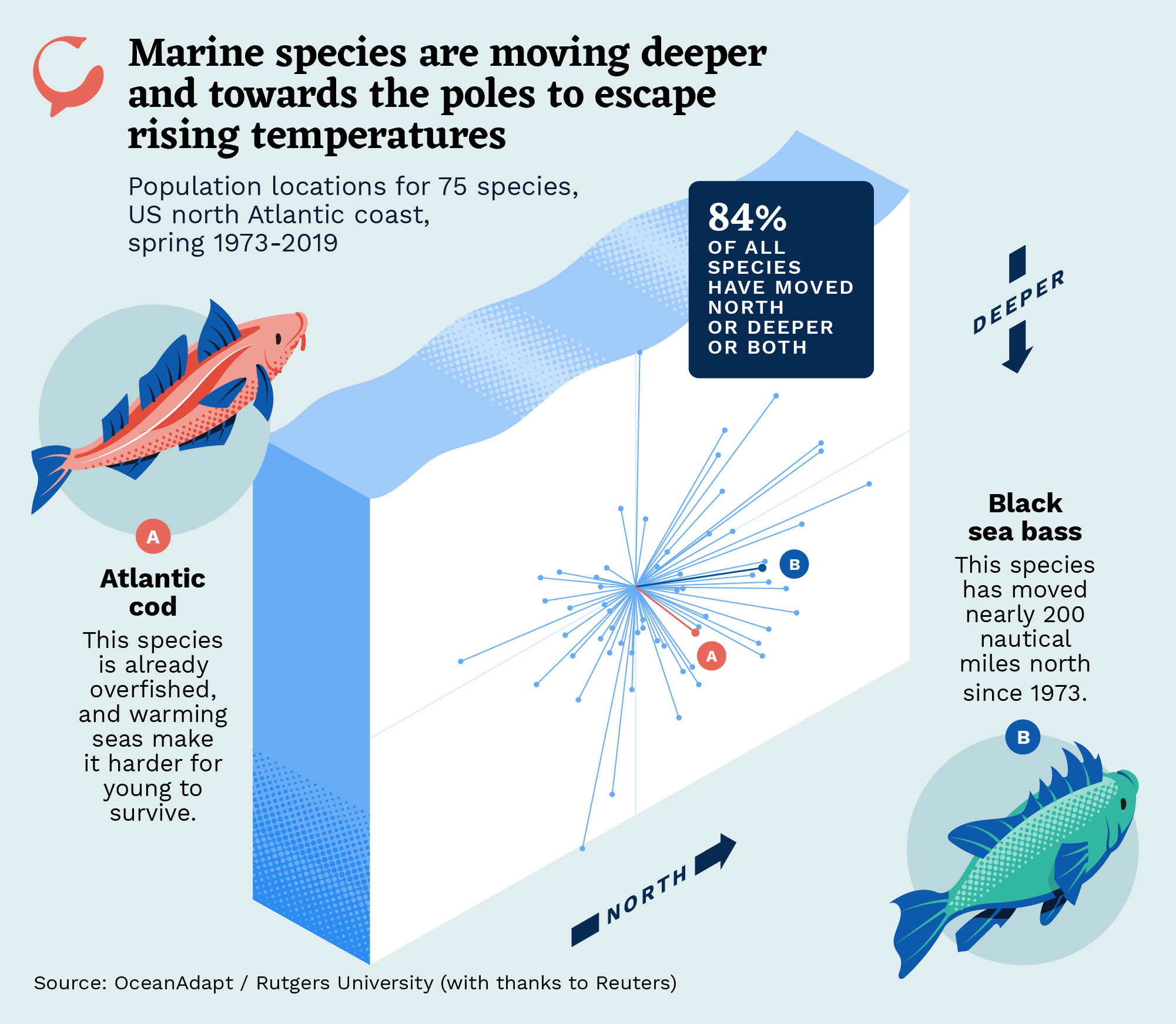 How does climate change affect fish?