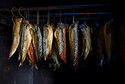 How does cold smoke preserve fish?