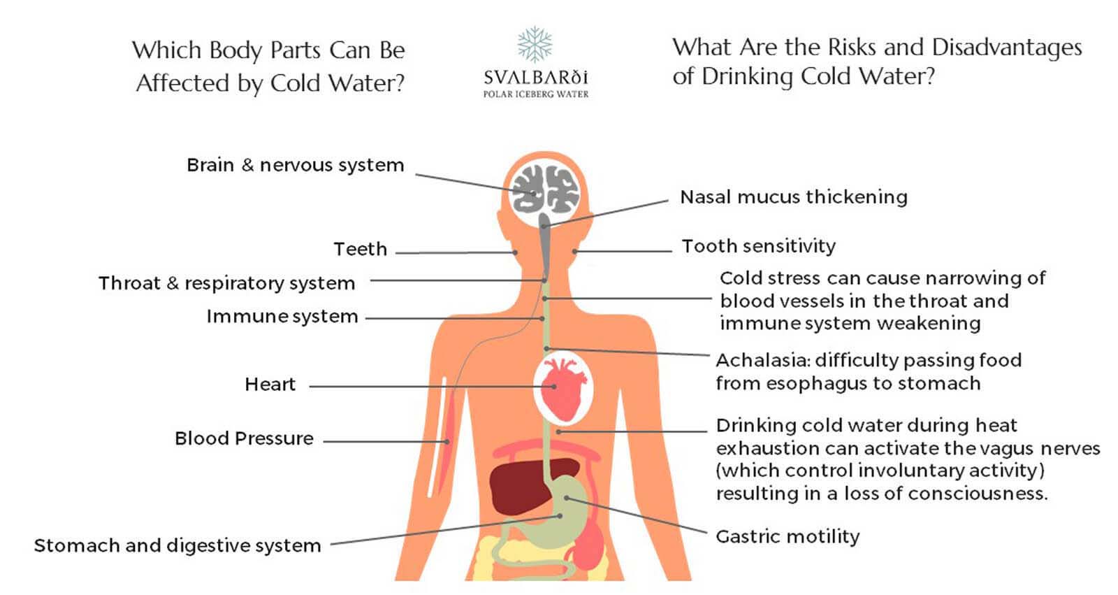 How does cold water affect throat?