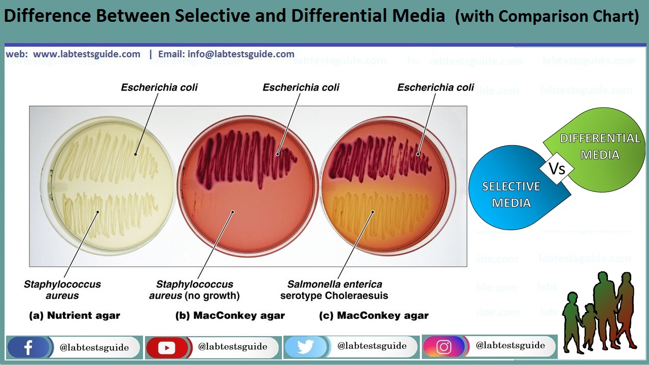 How does differential media differentiate?