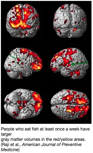 How does eating fish affect your brain?