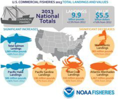 How does fishing impact the economy?