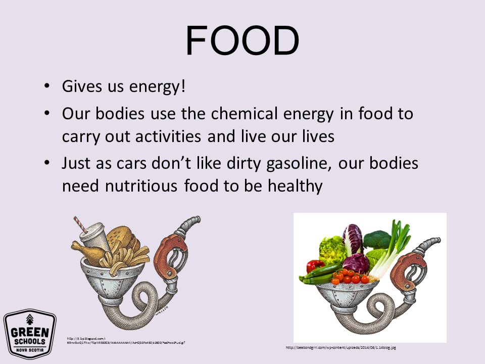 How does food energy help us?