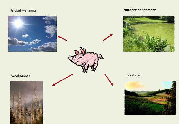 How does food production affect the ecosystem?