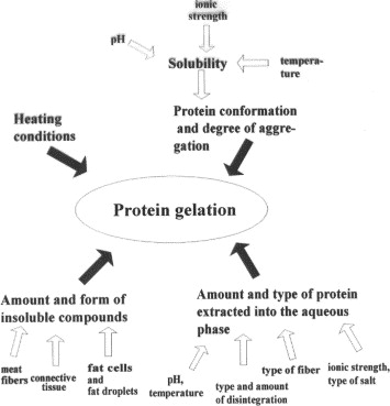 How does heat affect meat?