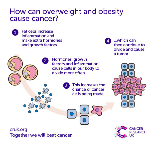 How does high-fat cause cancer?
