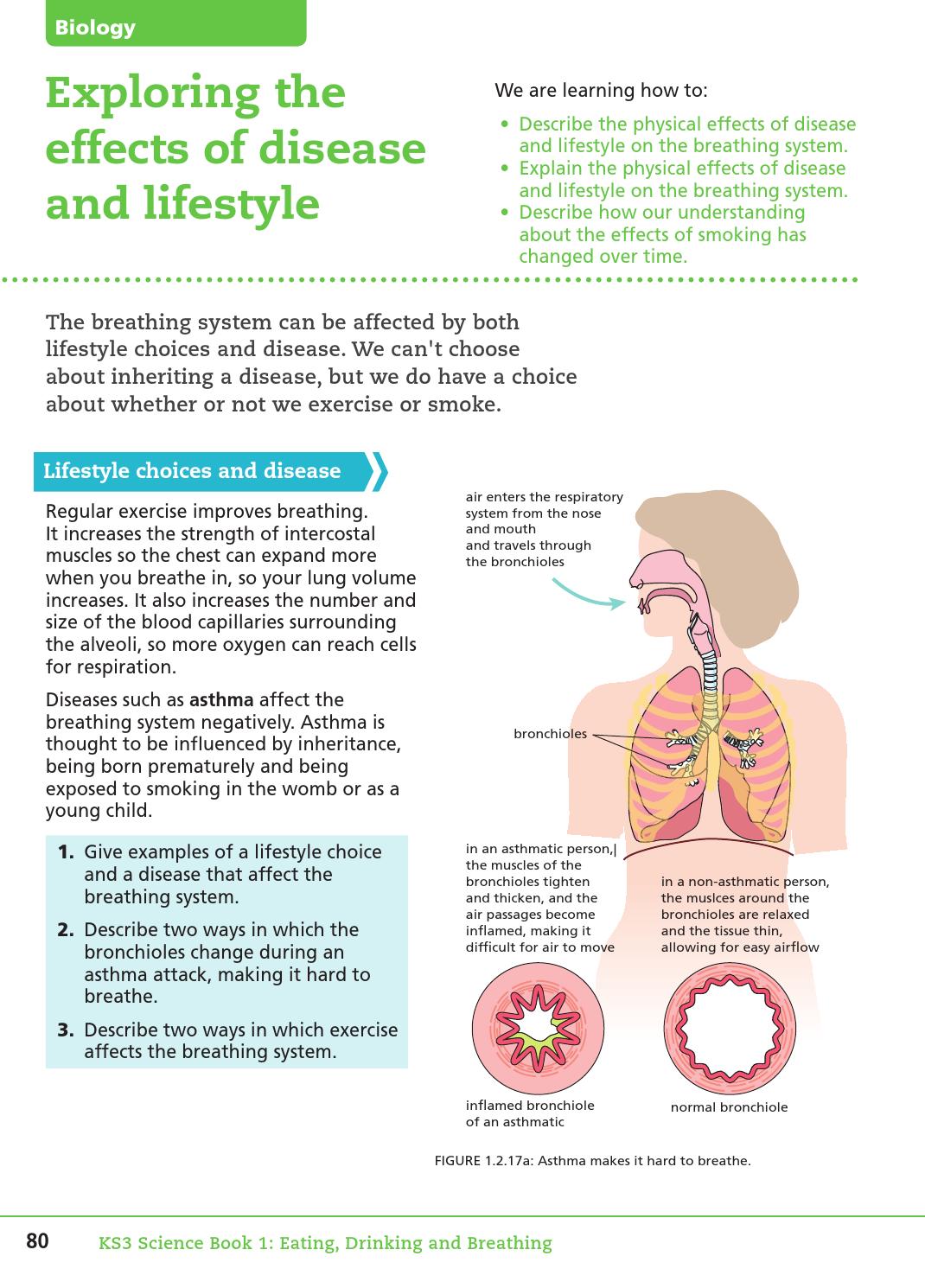 How does lifestyle affect respiratory function?