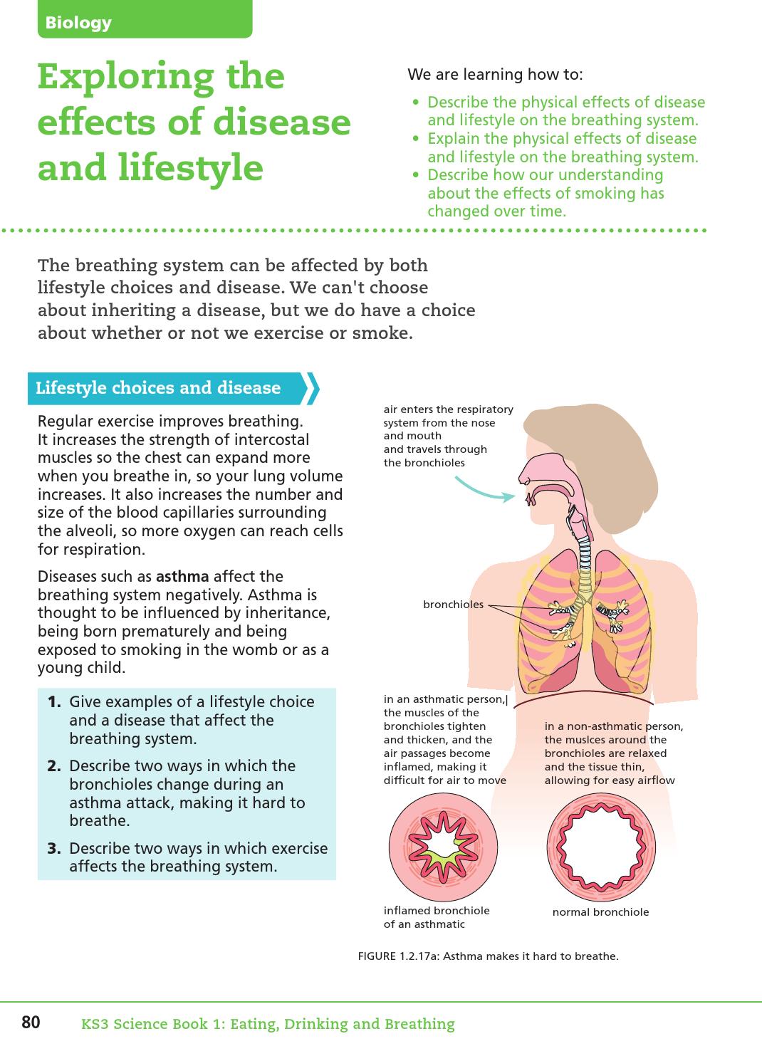 How Does Lifestyle Affect Respiratory Function 2022 QAQooking wiki