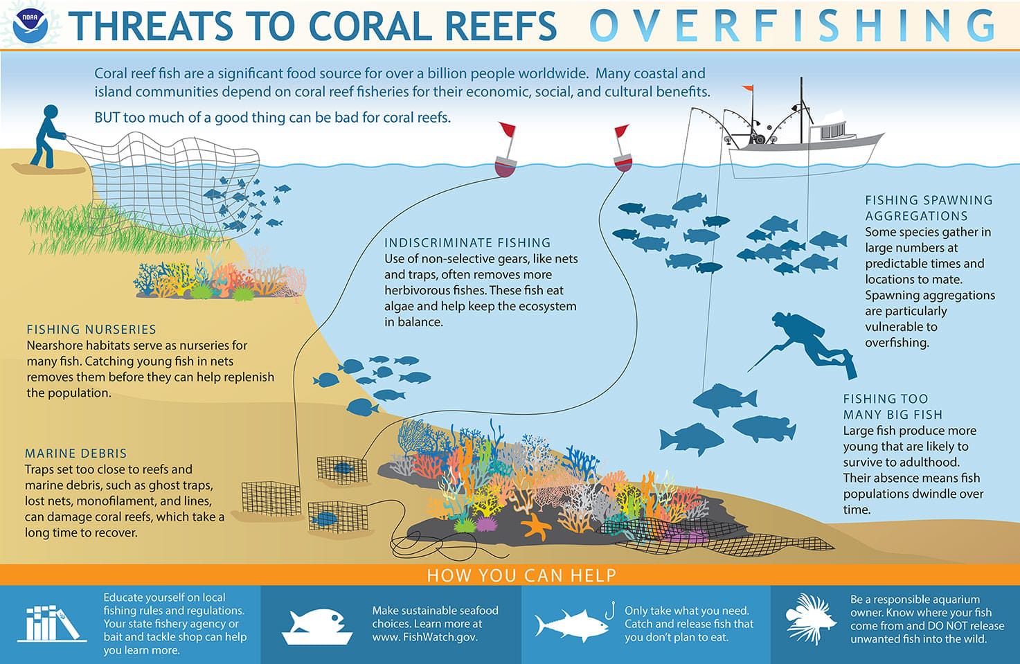 How does overfishing affect coral reefs?
