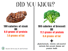 How does plant protein compare to animal protein?