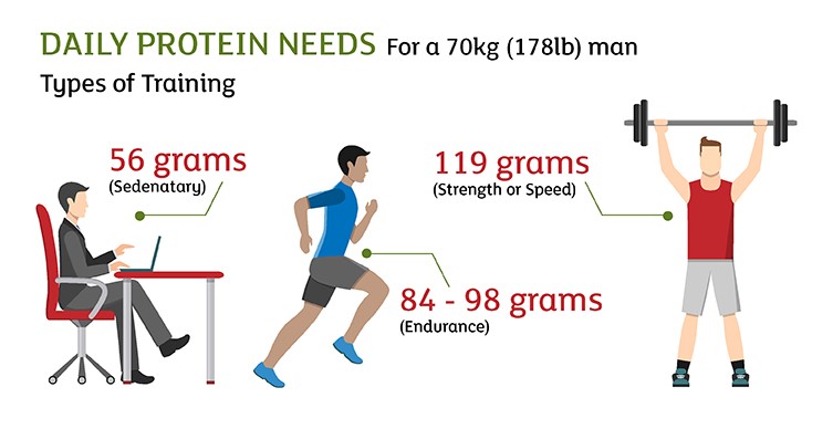 How does protein impact athletic performance?