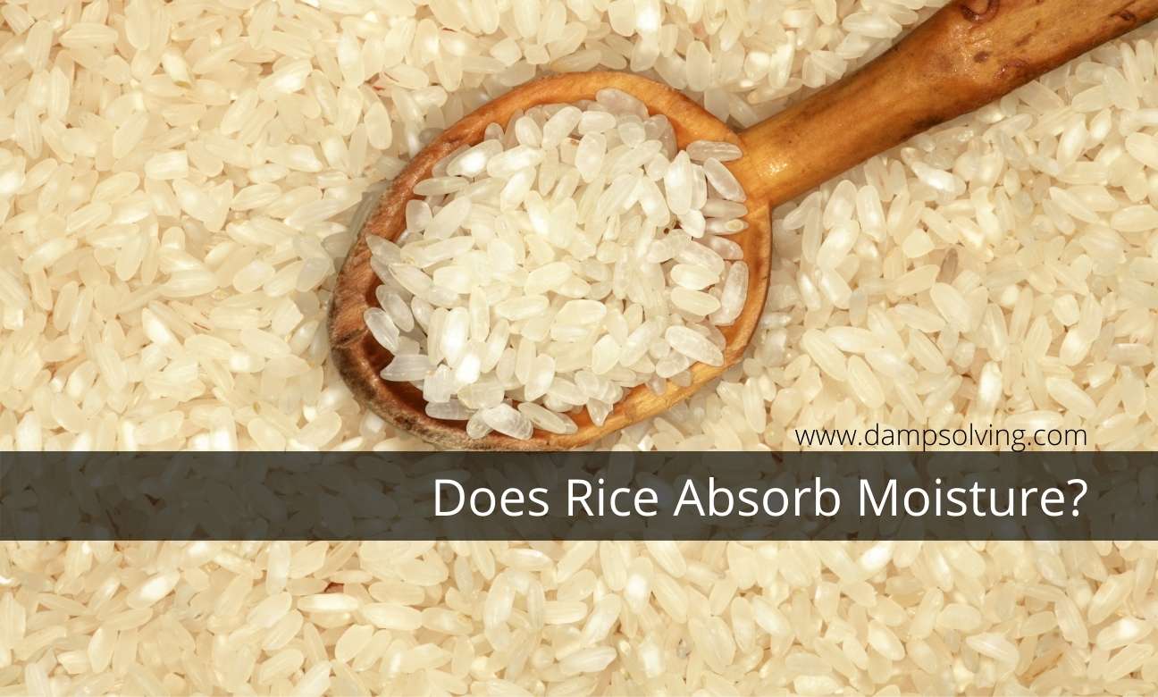 How does rice absorb liquid?