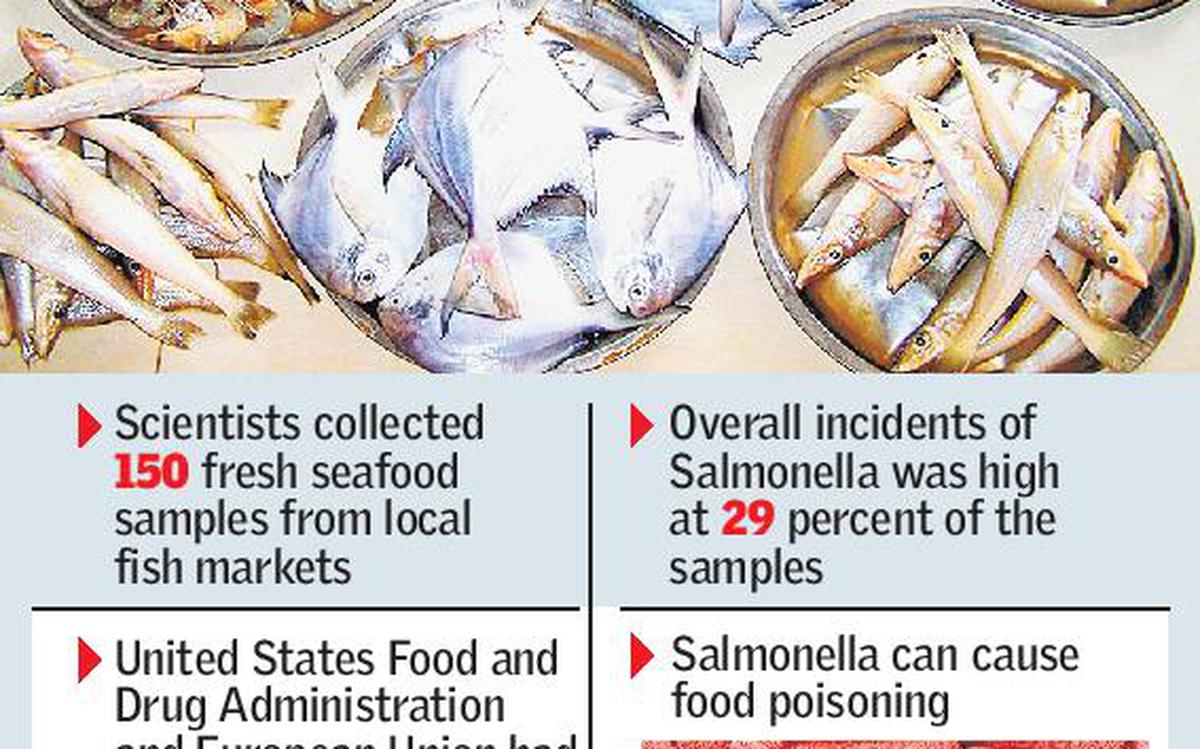 How does Salmonella get in seafood?