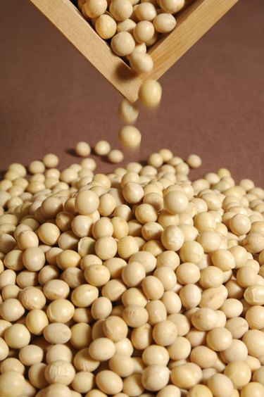 How does Soybean cause gout?