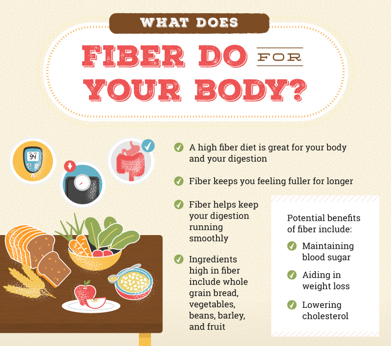 How does the body process fiber?