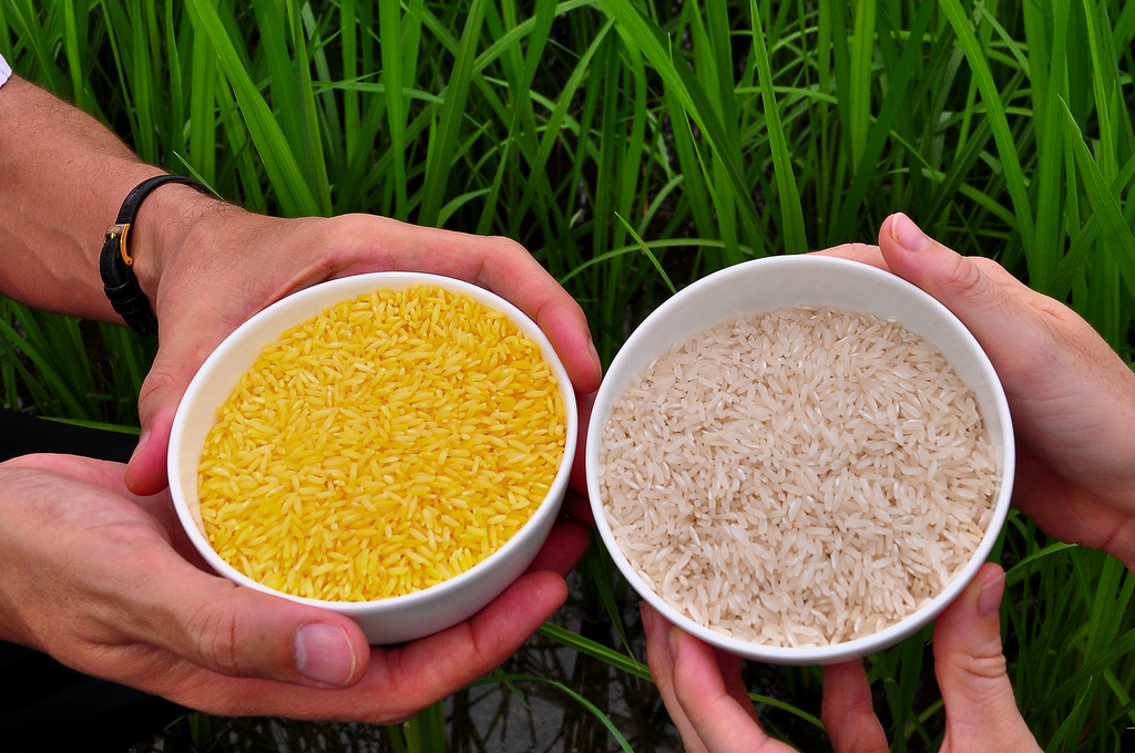 How does yellow rice get its color?