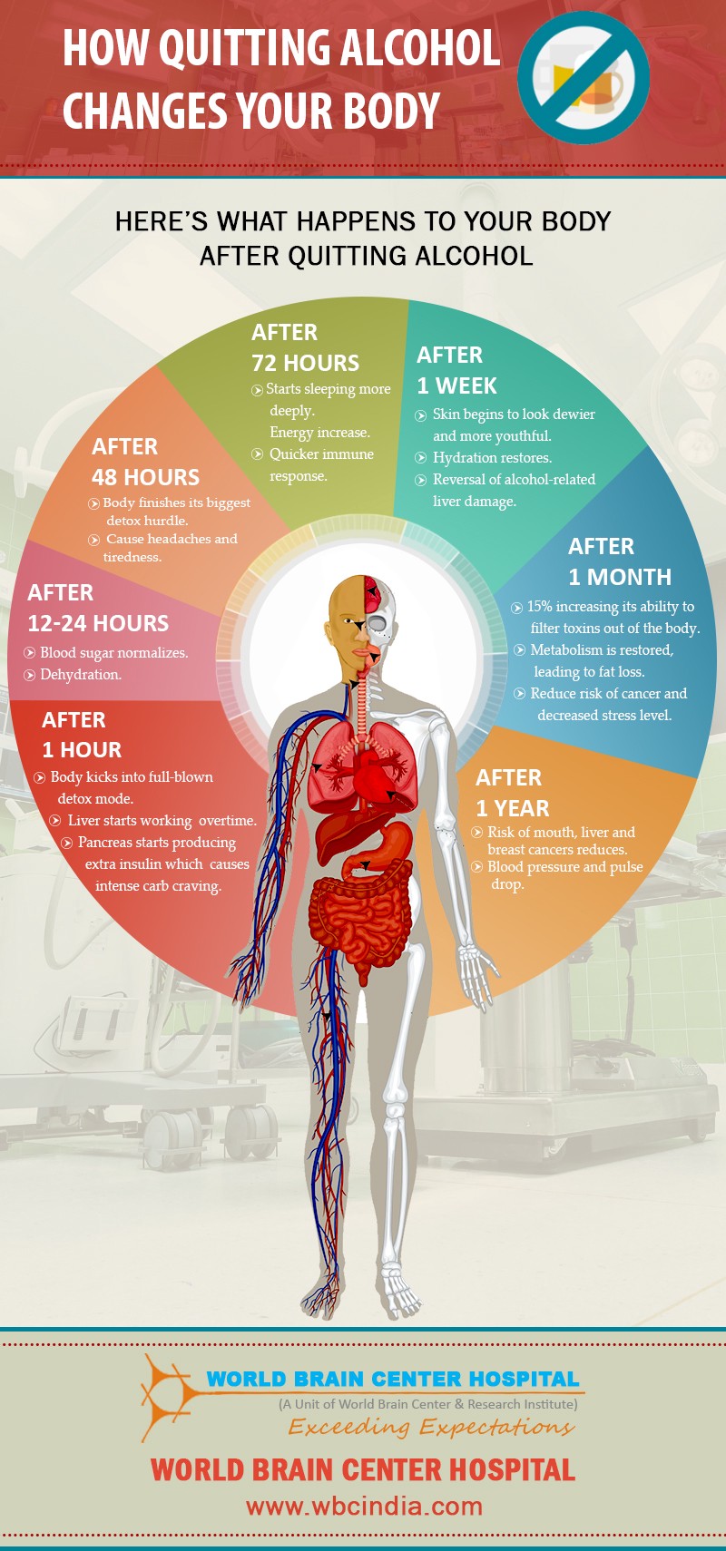 How does your body repair itself after quitting drinking?