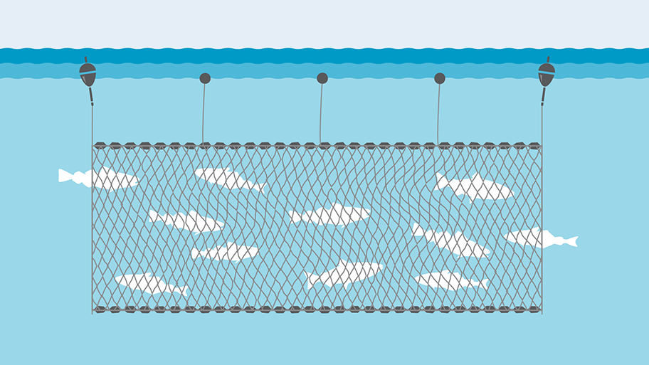 How effective is a gill net?