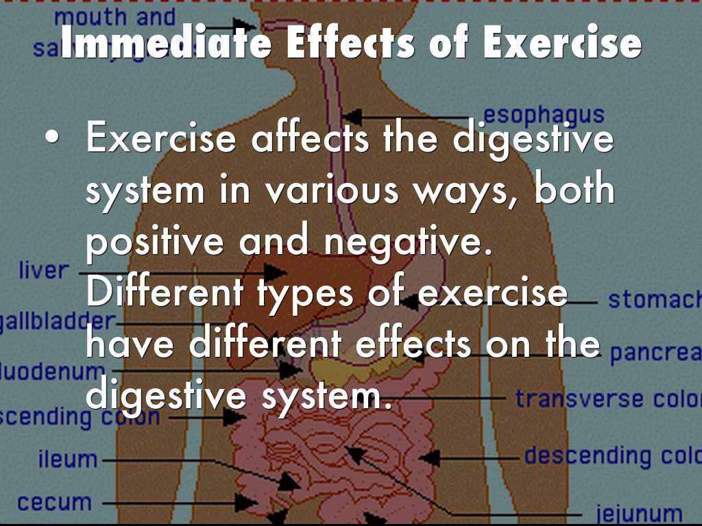 How exercise affects the digestive system?