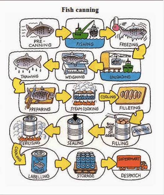 How fish are canned after being delivered to the canning factory?