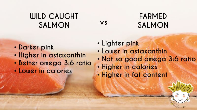 How healthy is wild caught salmon?