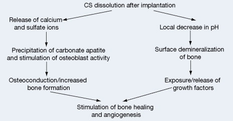 How is calcium sulfate hemihydrate better known as?