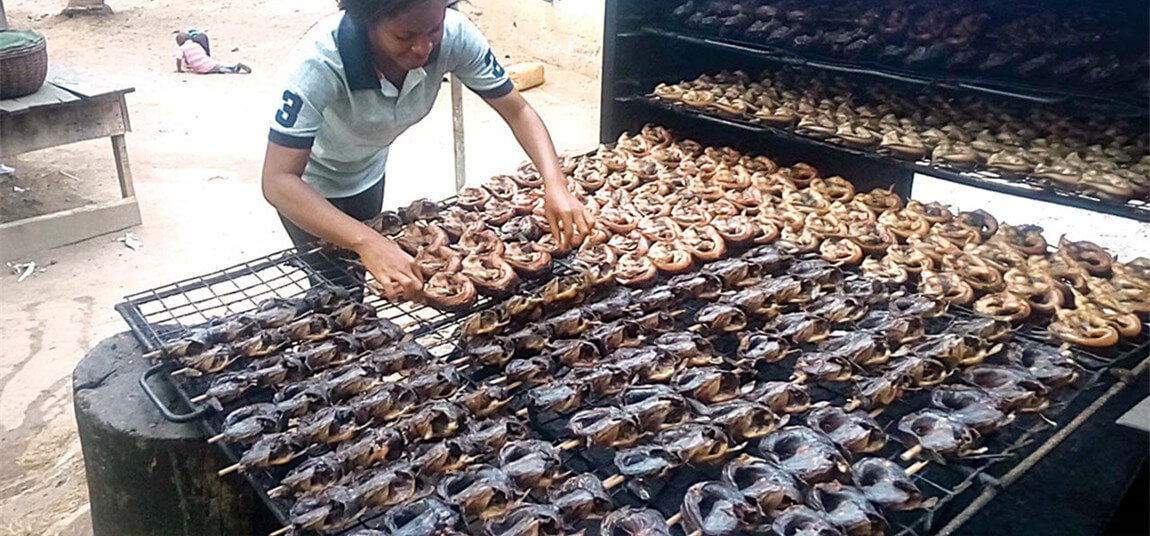 How is dry fish preserved in Nigeria?