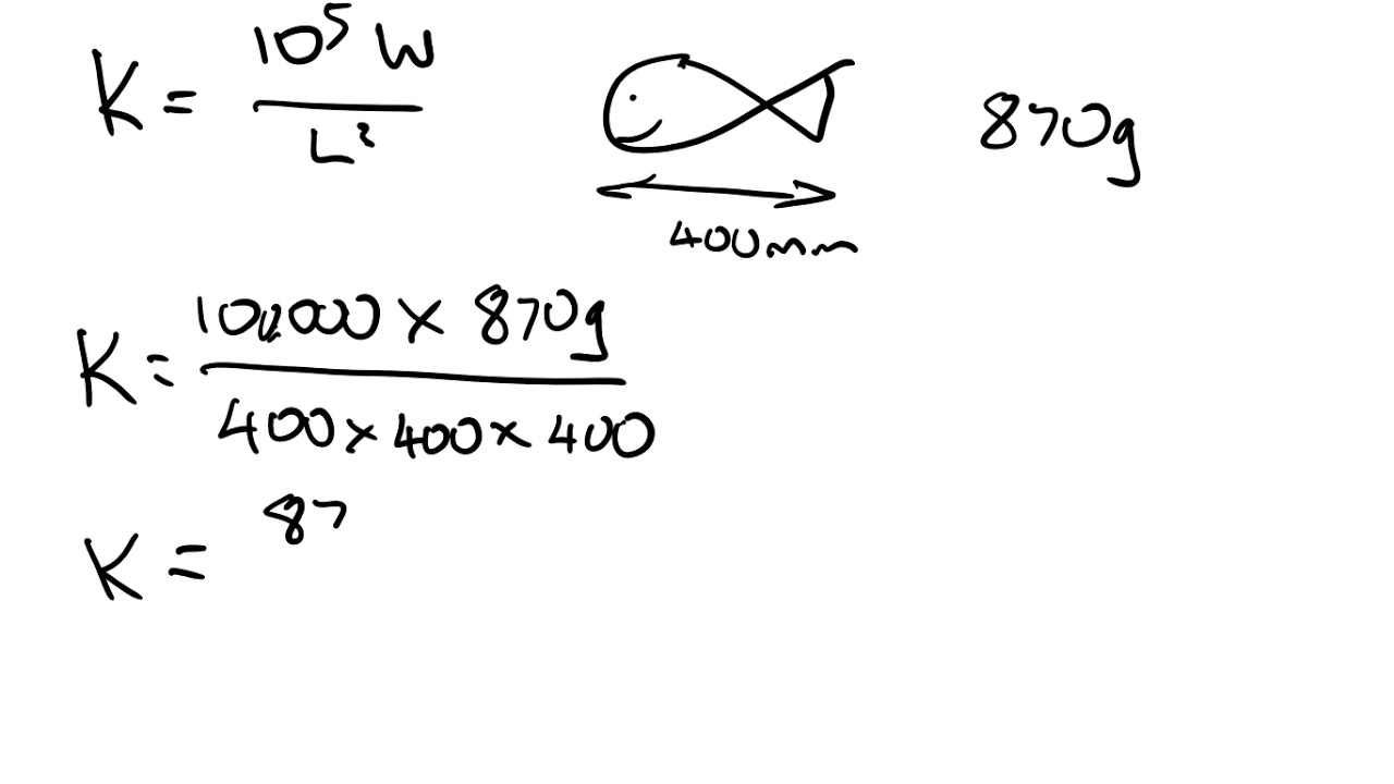 How is fish condition factor calculated?