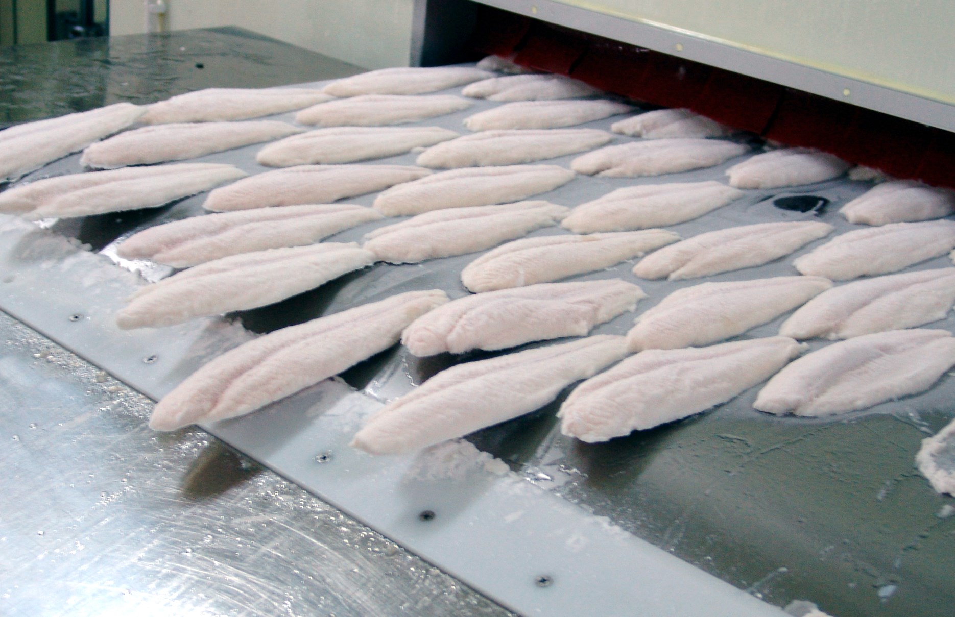 How is frozen fish processed?