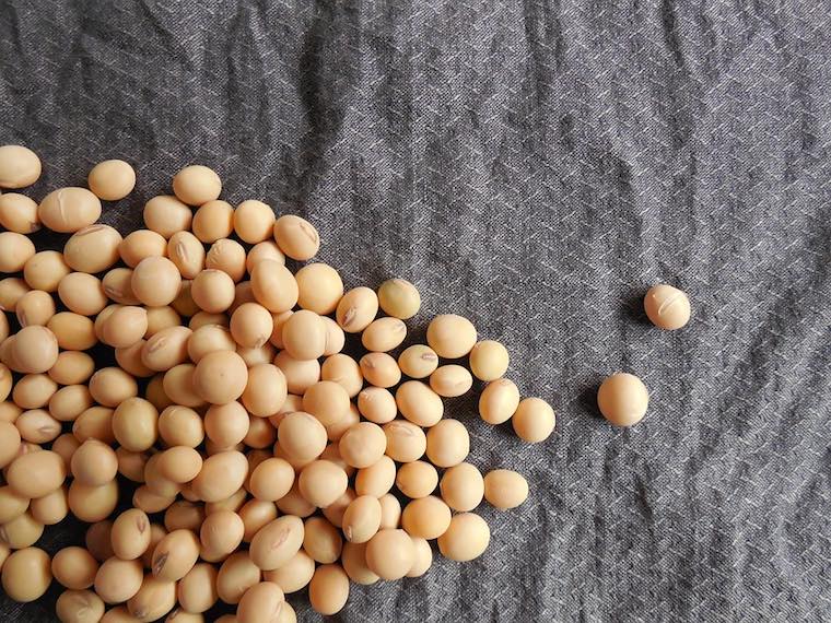 How is soy protein made?