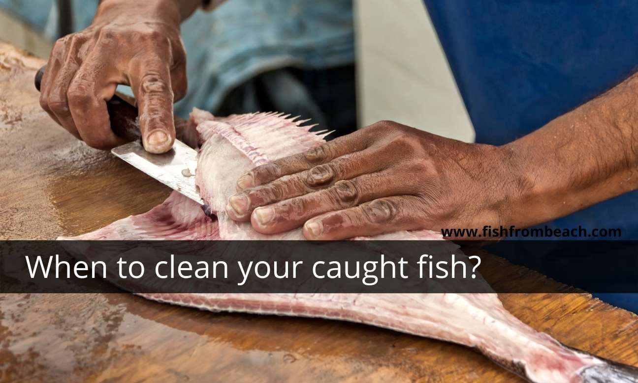 How long after catching a fish should you clean it?